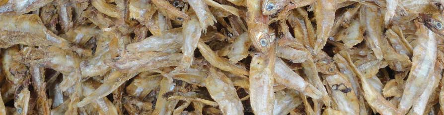 Bandi Foods Dry Fish Vobla Snacks - Wholesale Distributor of European ...